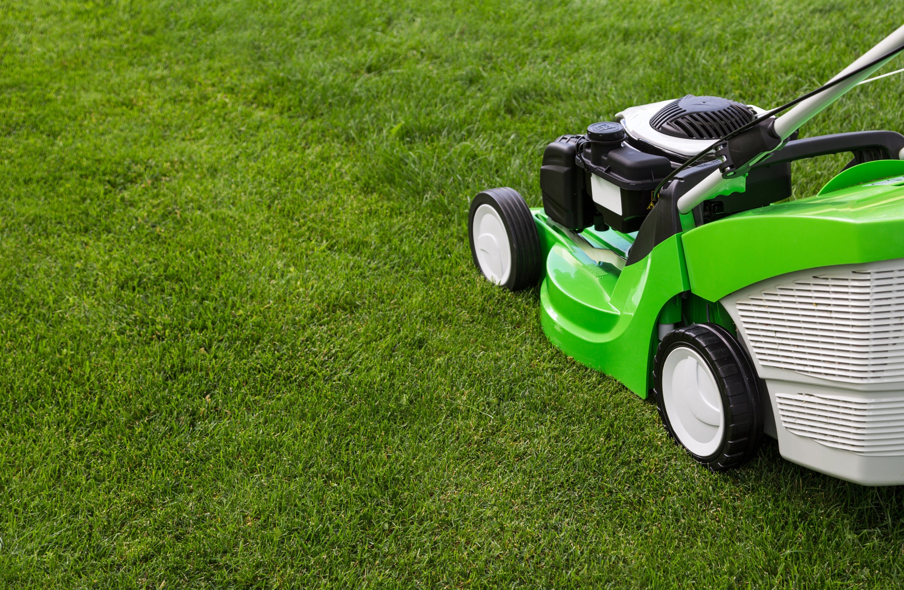 What lawn mower should you buy? – Simple Lawn Solutions