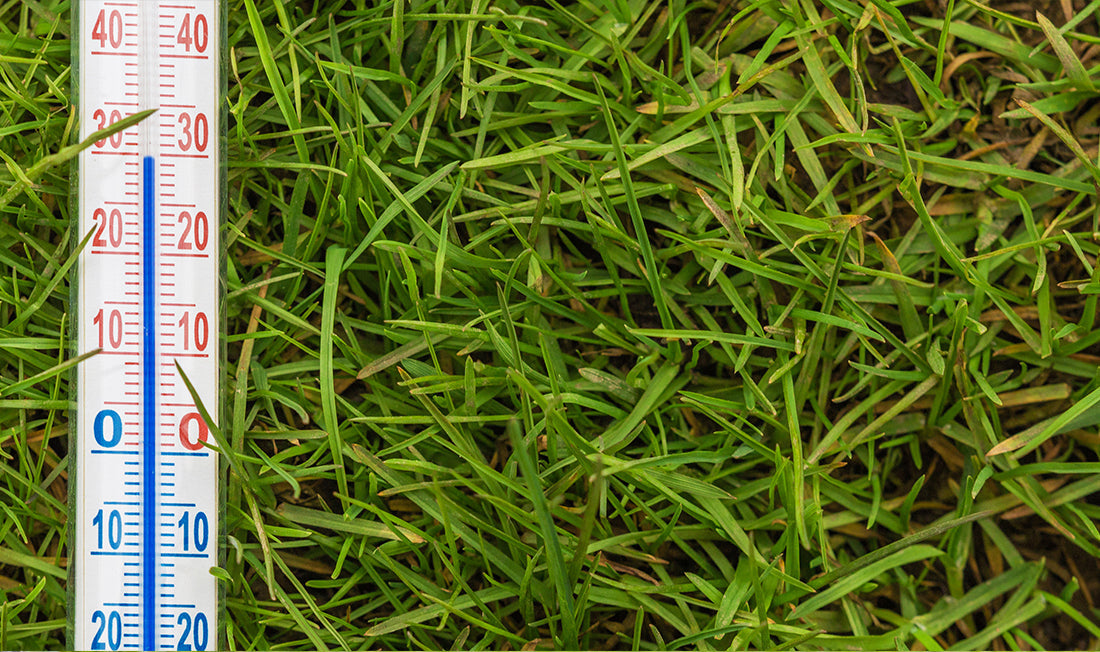 When is it Too Hot to Apply Fertilizer? – Simple Lawn Solutions