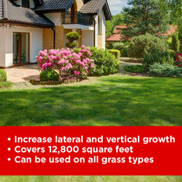 Lawn Booster: Growth Booster 6-18-0 (1 Gallon) | Simple Lawn Solutions