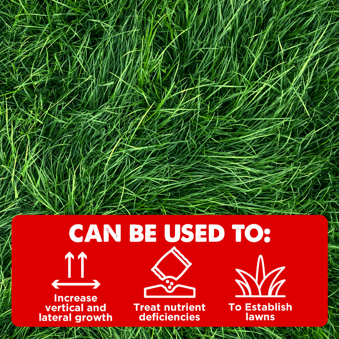 Lawn Booster: Extreme Growth Booster (32 ounce) Simple Lawn Solutions