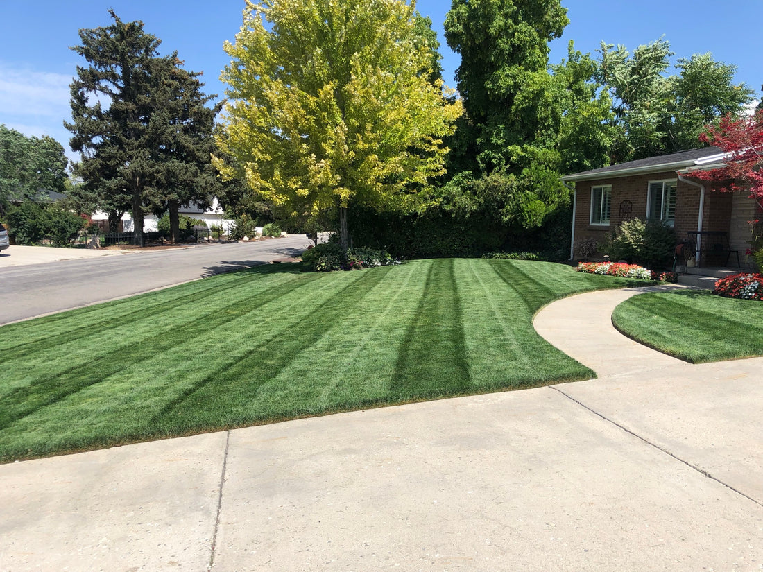 Liquid Fertilizers For Lawn and Garden – Simple Lawn Solutions